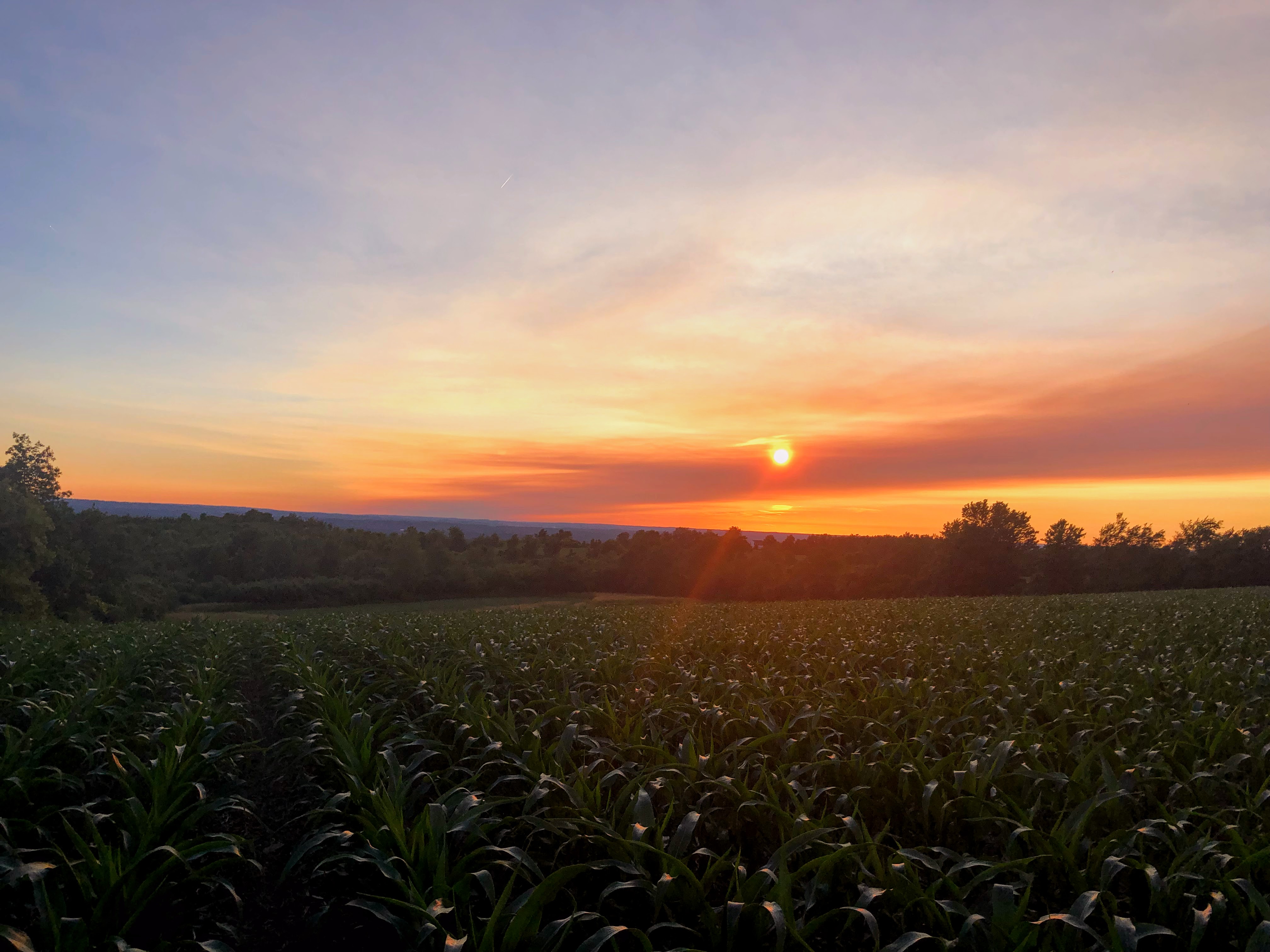 Watch the Sunset Over Farmland in Upstate New York – Under The Sun