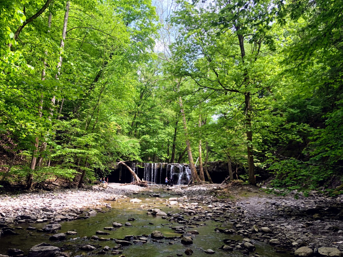 Day Trip to Great Gully Waterfall on the Finger Lakes – Under The Sun