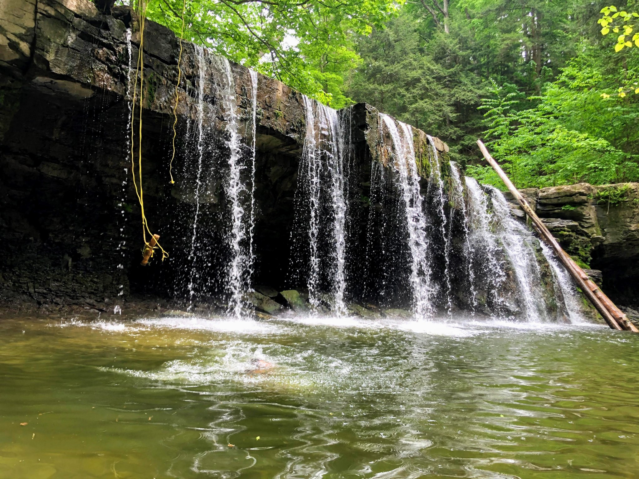 Day Trip to Great Gully Waterfall on the Finger Lakes – Under The Sun