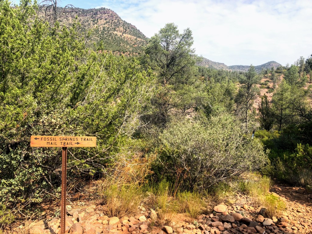 Day Trip to a Turquoise Waterfall at Fossil Springs in Arizona – Under ...