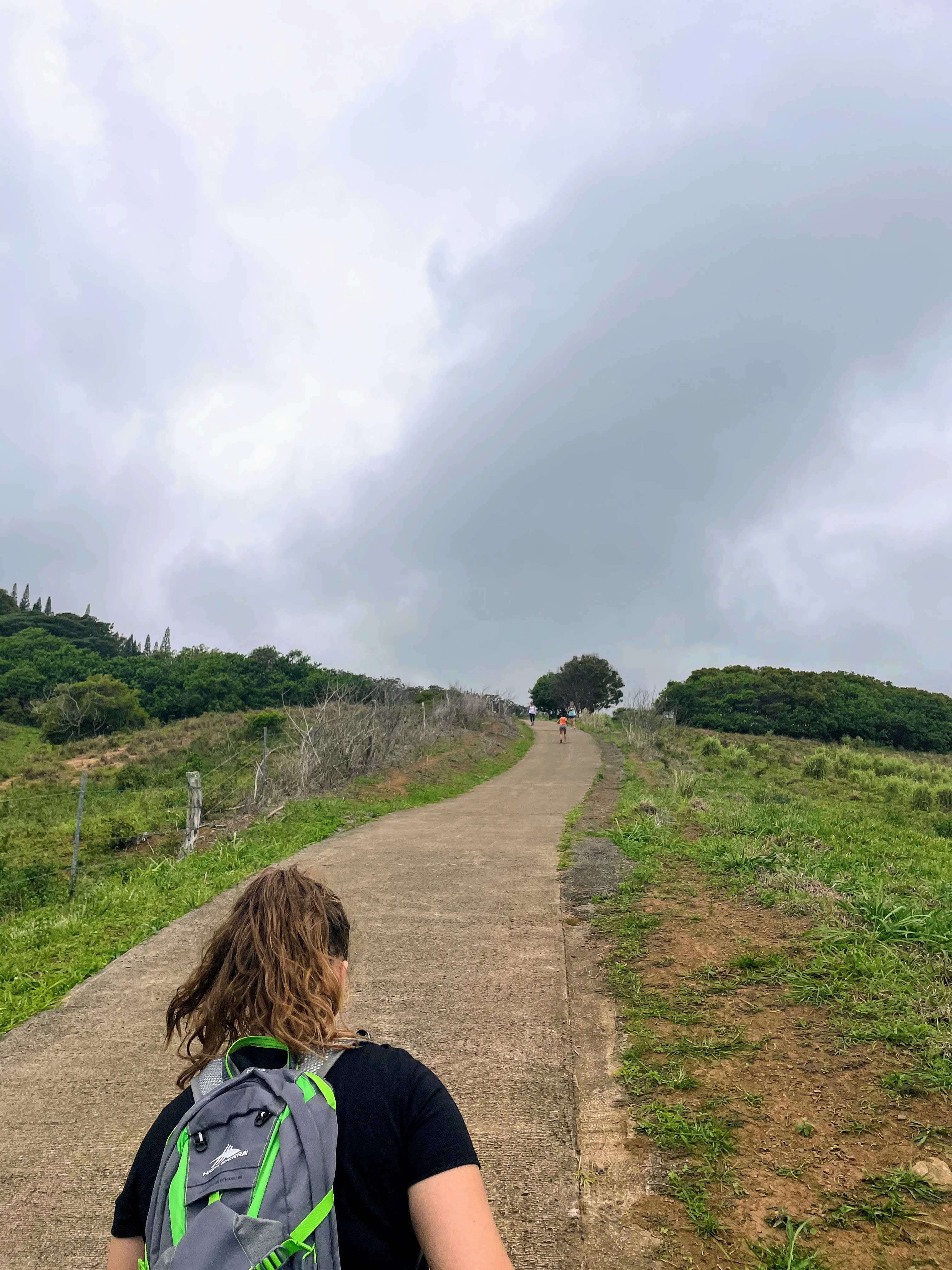 Hiking the Waihe’e Ridge Trail on Maui – Under The Sun