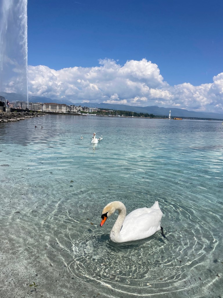 Day Trip Guide to Geneva, Switzerland | Backpacking Europe – Under The Sun
